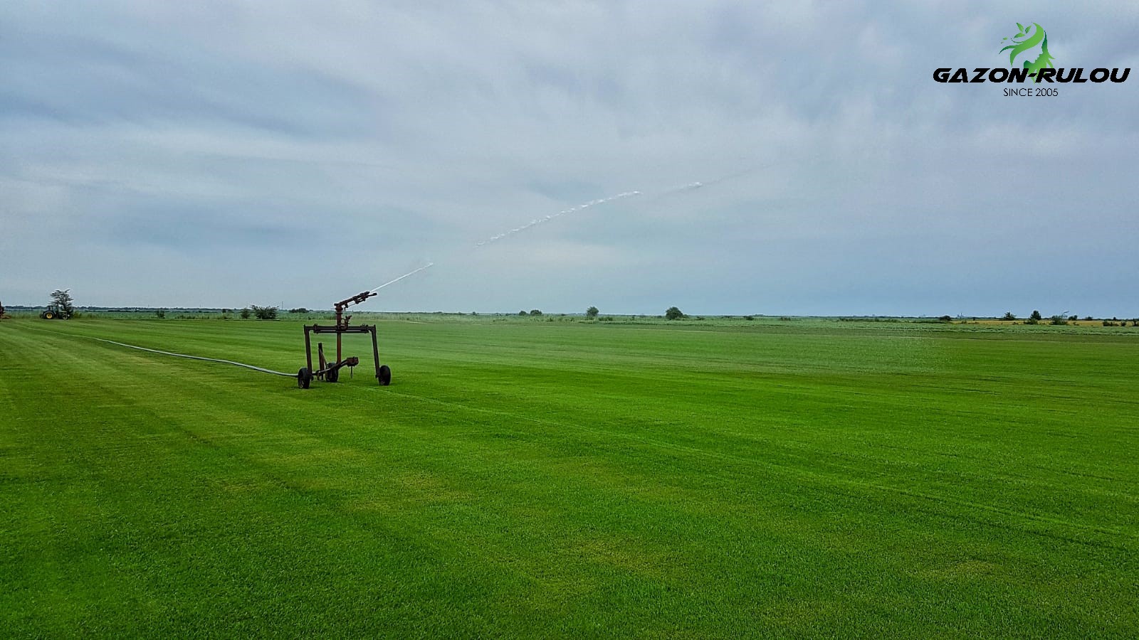Gazon-Rulou » Gazon Rulou: Irigarea